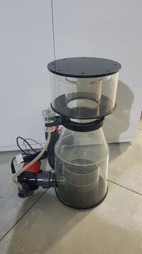 Classifieds | Marine Aquariums South Africa