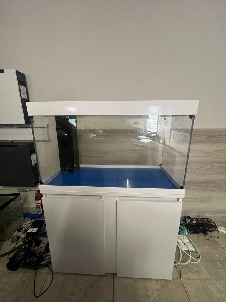 [FS] - Complete 1.2m Marine Setup | Marine Aquariums South Africa