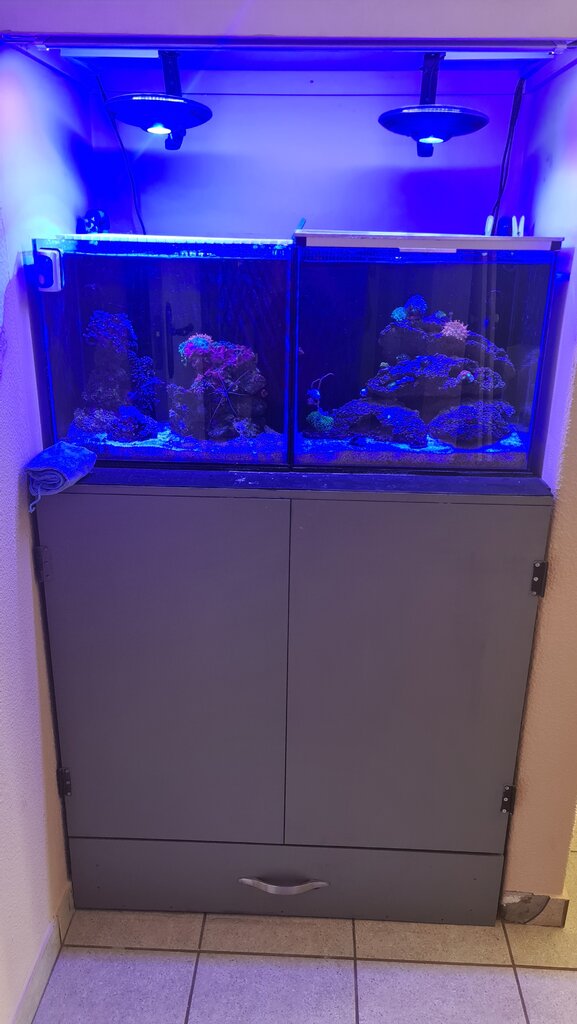 [FS] - Complete Setup | Marine Aquariums South Africa