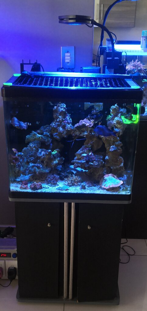 [FS] - Red sea max 130 tank | Marine Aquariums South Africa