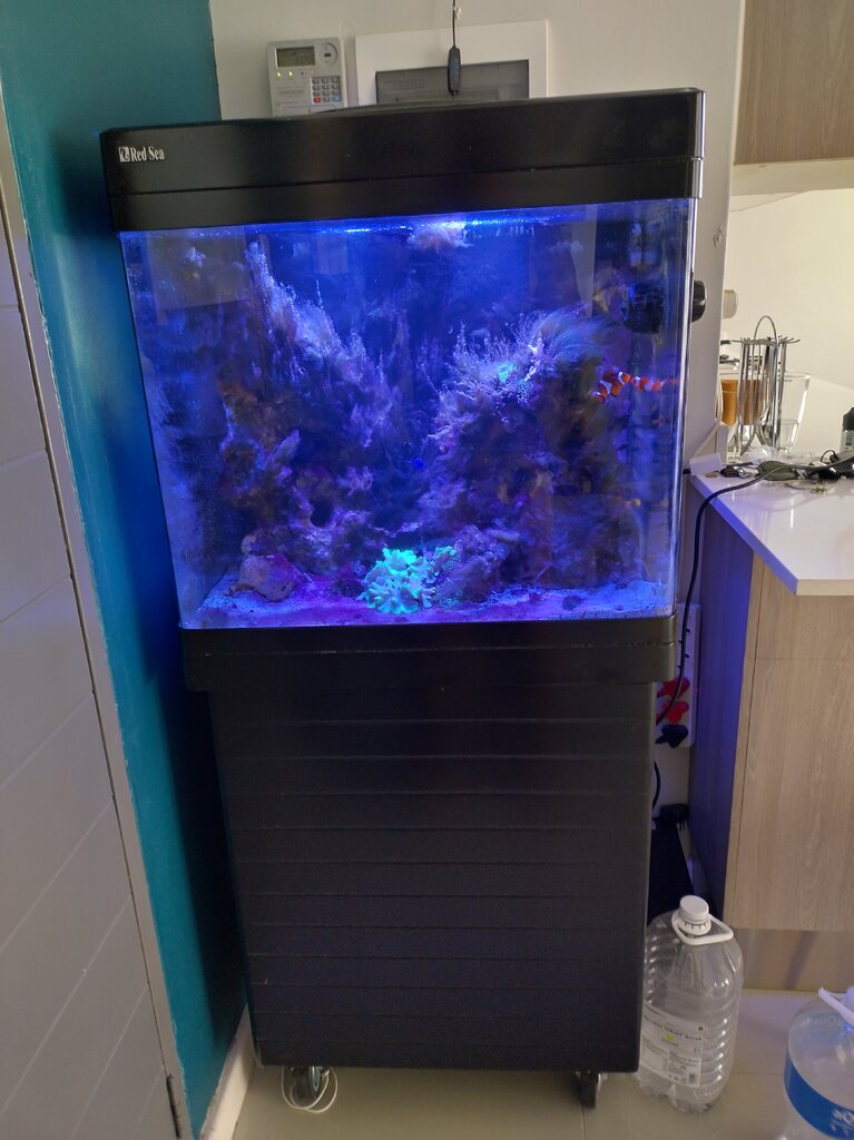 [FS] - Red Sea Max 130D [Expired] | Marine Aquariums South Africa