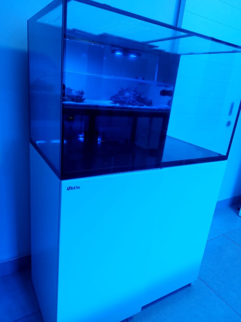 [FS] - Red Sea Reefer 250 | Marine Aquariums South Africa