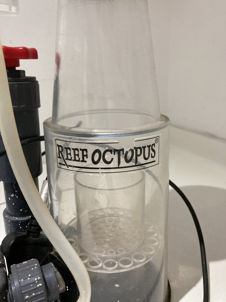 [FS] - Reef octopus skimmer | Marine Aquariums South Africa