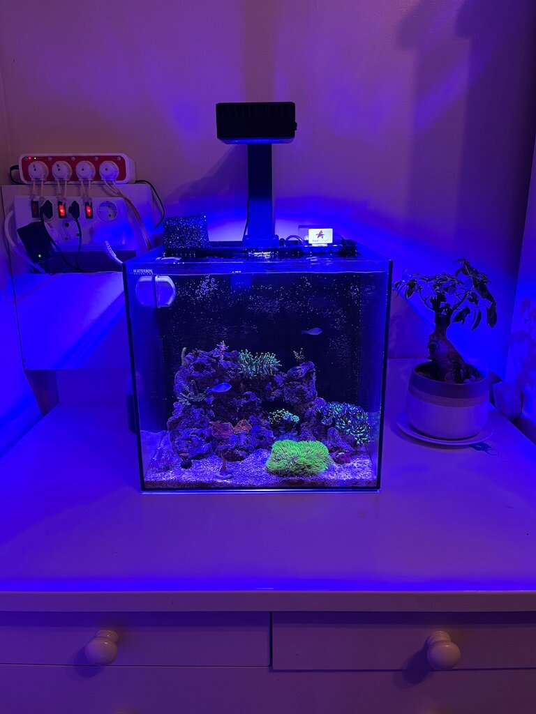 [FS] - Waterbox cube 10 | Marine Aquariums South Africa